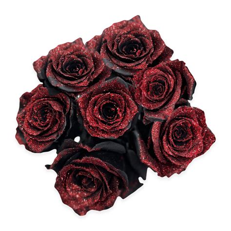 Dark Secret Roses Flower Explosion