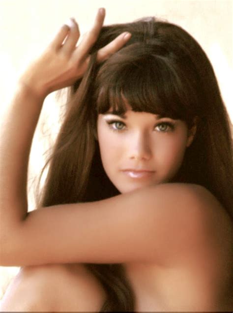 Barbara Lynn Klein Barbi Benton Barbi Benton Pretty Celebrities
