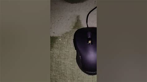 Mewing Mouse ☠️ Mewing Youtube