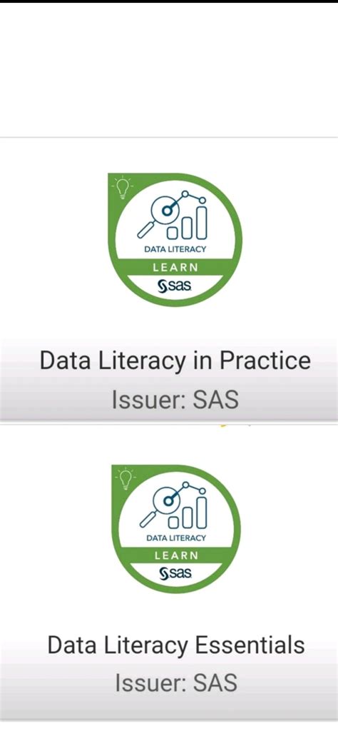 Karim Ramadan Ali On Linkedin Dataanalysis Sas Continuouslearning Careergrowth