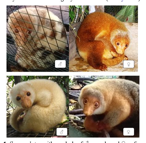 Figure 1 From Jurnal Sylva Lestari Semantic Scholar