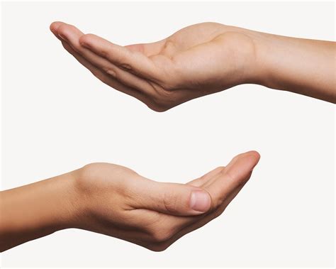 Cupping Hands Collage Element Psd Premium Psd Rawpixel