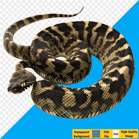 Australian Python Premium Ai Generated Psd