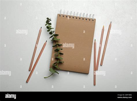 Kraft Notebook Coloured Pencils And Branch On Light Table Flat Lay