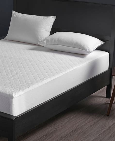 Aldrin Home Quilted Cotton Waterproof Mattress Protector Temple And Webster