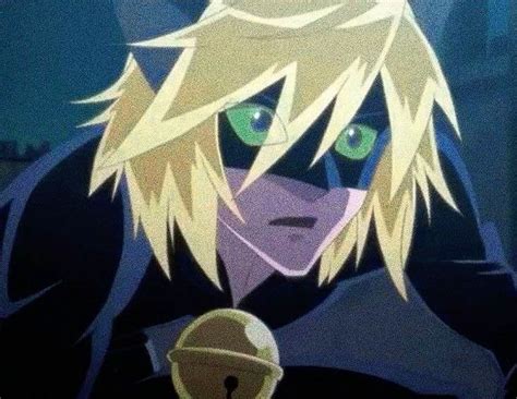 Noir Discover 900 Ideas From Ml Cat Noir
