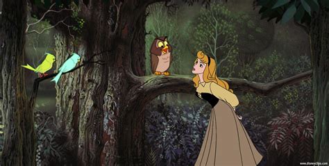 Desktop Sleeping Beauty Wallpapers Wallpaper Cave