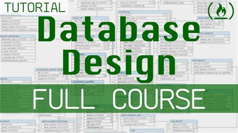 Learn How To Design A Database In This Full Course For Beginners By Caleb Curry 8 Hour Watch