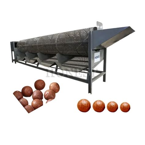 Automatic Nut Sorting Machine Sorting Conveyor Macadamia Nuts
