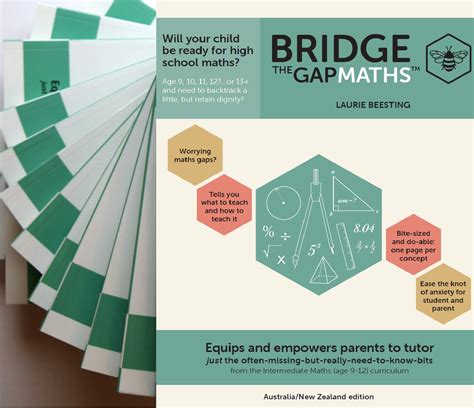 Bridge The Gap Maths™ Engaging Minds