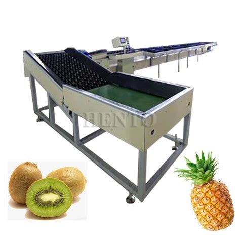 China Fruit Sorting Machine Manufacturers Suppliers Factory Cheap Fruit Sorting Machine