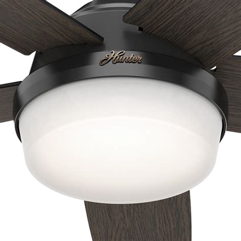 Install Light Kit On Hunter Fan At Alexander Feakes Blog
