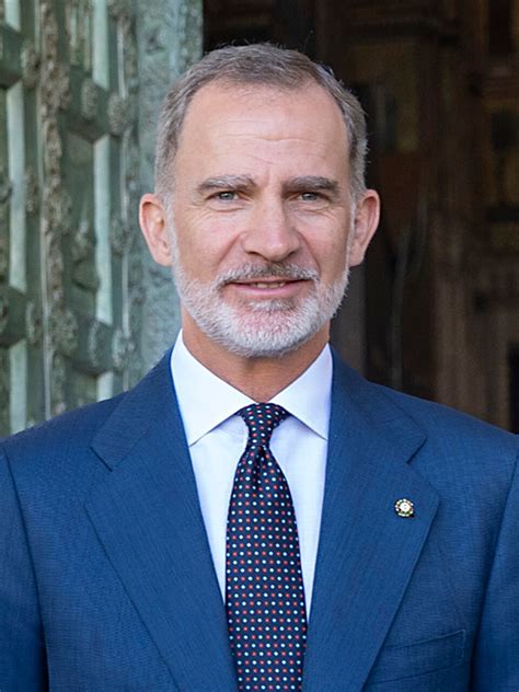 Felipe Vi Vikipeedia