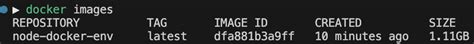 Docker Run With Environment Variables Geeksforgeeks
