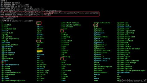 linux系统中的环境变量简单理解 linux 系统 什么是环境变量 csdn博客