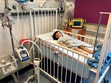 Putting It All Together Enhancing Realism In Clinical Simulation Scenarios