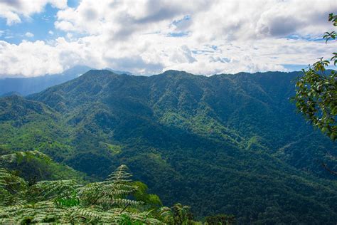 La Plata Un Lugar Enigmático En El Corazón De La Sierra Maestra