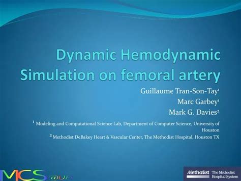 Ppt Dynamic Hemodynamic Simulation On Femoral Artery Powerpoint