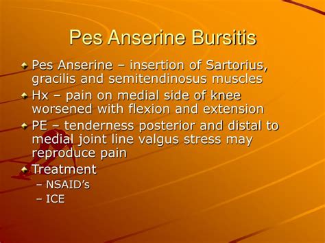Ppt Knee Problems Powerpoint Presentation Id1241545