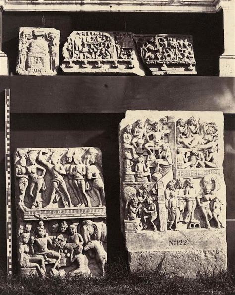 Bonhams Tripe Linnaeus The Elliot Marbles Central Museum Madras 1858