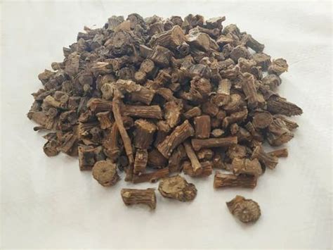 Tinospora Cordifolia Brown Natural Herbal Giloy Root At ₹ 35kg In Amritsar