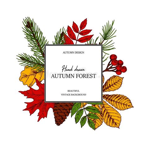 Hand Drawn Square Autumn Botanical Frame With Leaves Cone Fir Tree