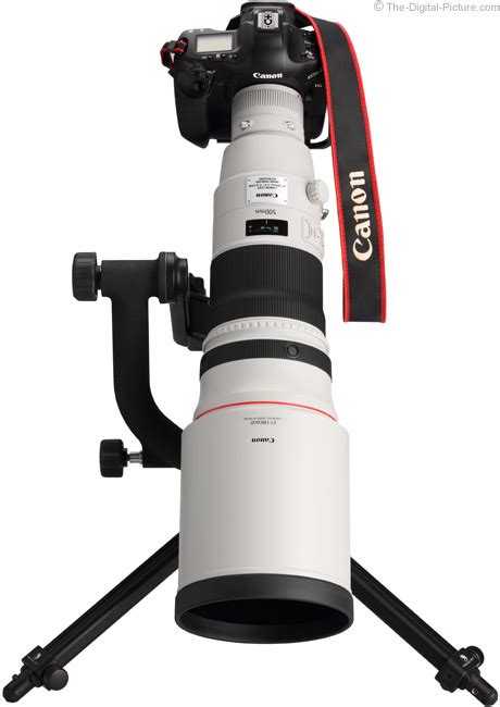 Canon Ef 500mm F4l Is Ii Usm Lens Review