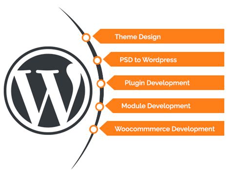 Wordpress Customization And Development Services In Noida