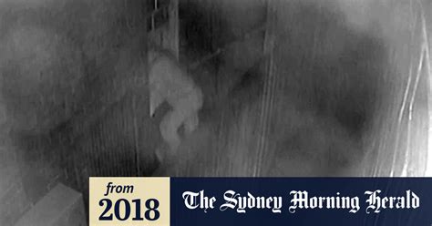 Video Young Girl Assaulted While Sleeping In Kingsford Home