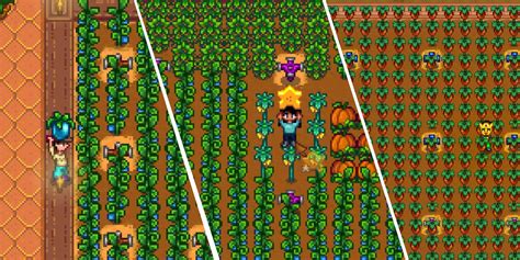 Which Stardew Valley Crops Are Best