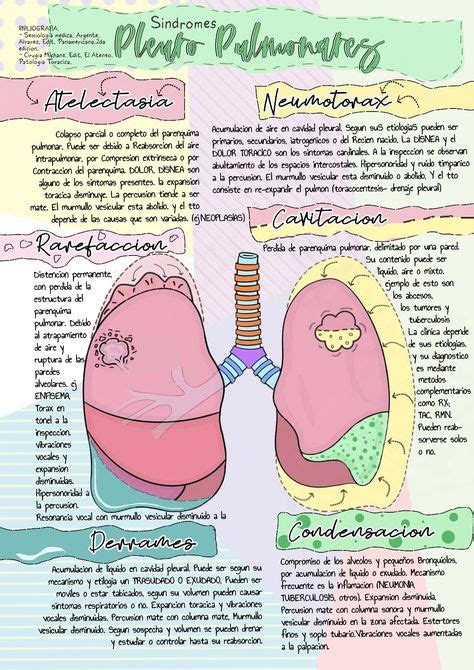 Mapa Metabólico Con Glucolisi Gluconeogenesis Beta Oxidación