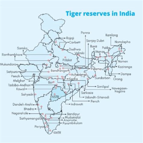 Tiger Reserves In India Clearias