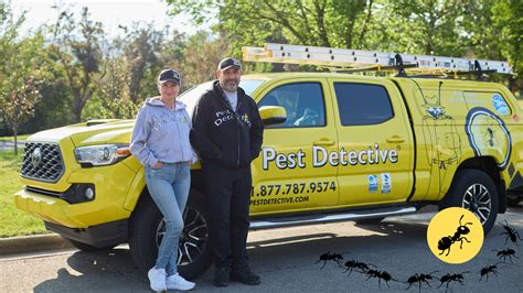 Ant Control Calgary Carpenter Ant Removal 5 0★ Rated