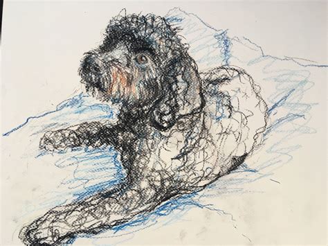 120 Ink Animal Drawings Ideas Animal Drawings Drawings Animal Art