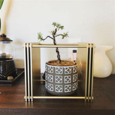 How Quantum Energy Helps Plants Grow Healthier