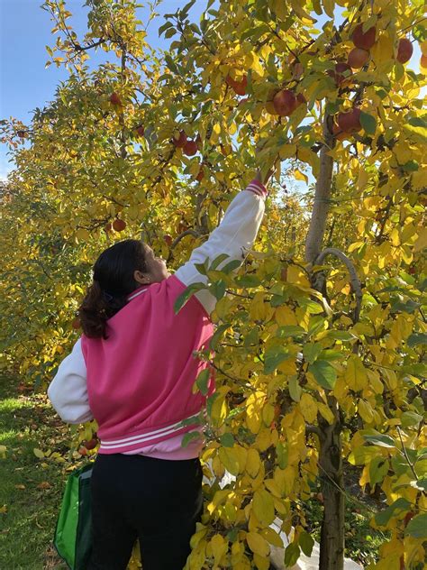 Yesterday Two Esol Intensive Classes From Our Nelson Centre Visited Russ Apple Orchard In