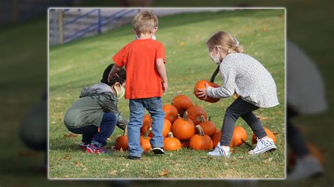 Pumpkin Patch At Buckingham Buckingham Elementary