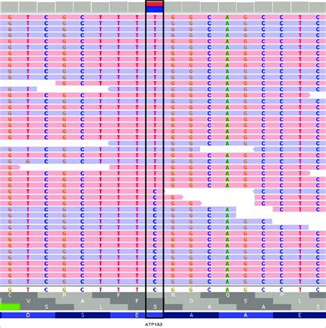 raw next generation sequence alignment on human genome version grch37