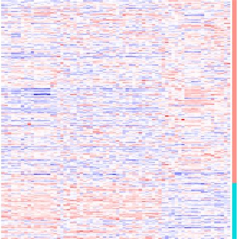 Heatmap Of Top 50 Differentially Expressed Mirnas Between The High And
