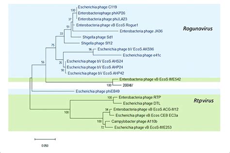 Phylogenetic Tree Of Tunavirinae Phage Based On The Clustal Omega