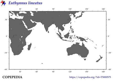Copepedia Summary For Euthynnus Lineatus T5000575 Species