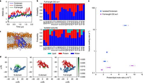 Molecular Dynamics Simulations And Vesicle Swelling Assay A Cα Rmsd