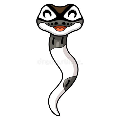 Cute Axanthic Pied Ball Python Cartoon Stock Vector Illustration Of