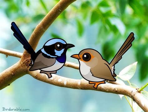 Learn About Bird Sexual Dimorphism And See Cute Examples