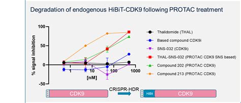 Cell Based Assays Drug Discovery Cro Services