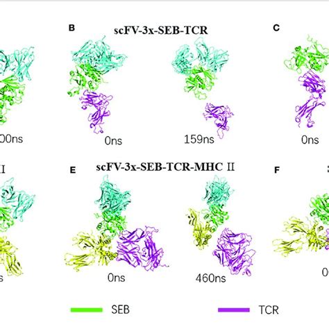 Bispecific Scfv Antibody Mb102a Scfv 3x Promote Disassociation Of