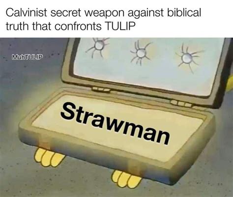 Pin By Abi Rose On Determinism Memes Calvinist Biblical Secret