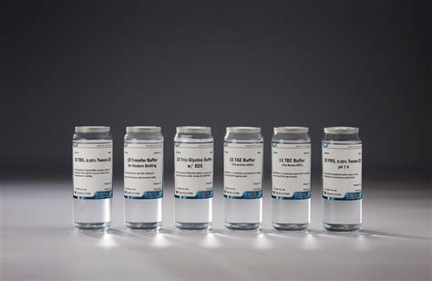 Btc001 1x Transfer Buffer For Western Blotting Biosolution