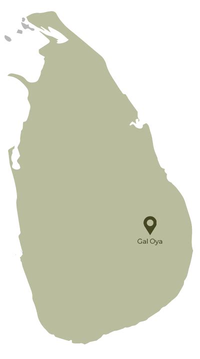 Gal Oya Wild Life Tour Sri Lankan Safari