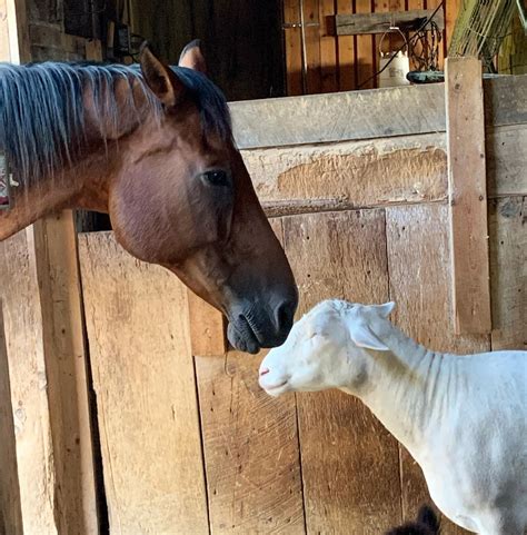 Mark Hebscher Its All About Sex Today On The Unplugged Podcast With Hebsy And Liz West Dr